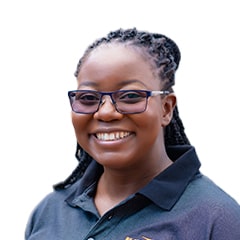 Japanese Used Cars for Sale near Me - BE FORWARD Zimbabwe